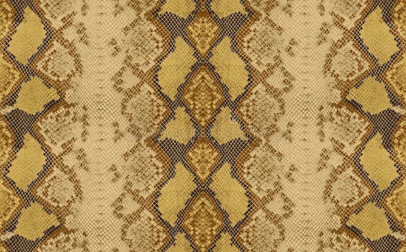 Snake Skin Pattern Design, Python Pattern, Piton Texture, Snake Skin ...