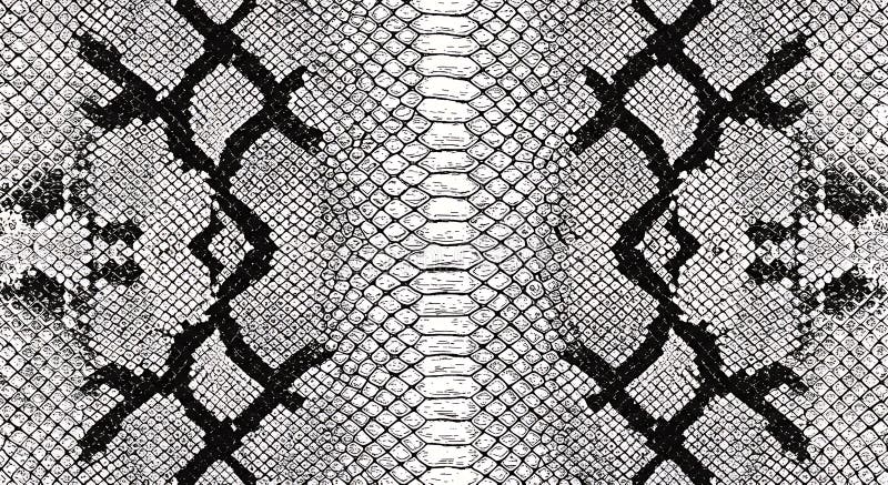Snake Skin Pattern with a Symmetrical Design. the Scales are Small and ...