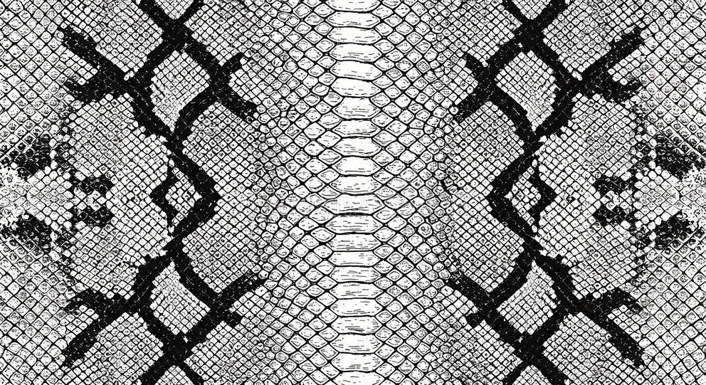 Snake Skin Pattern with a Symmetrical Design. the Scales are Small and ...
