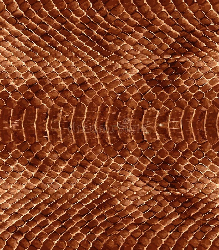 Boa Snake Skin Pattern Texture Stock Illustrations – 708 Boa Snake Skin ...