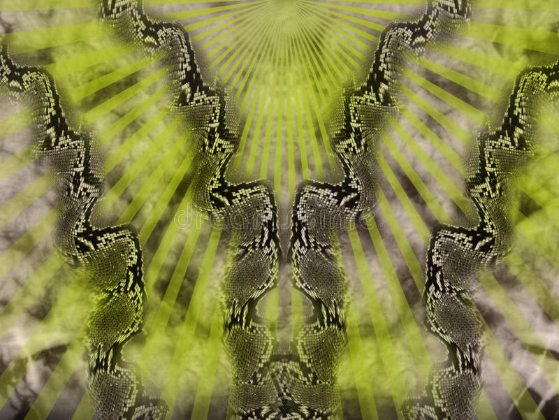 Snake Skin Textile Print Background Stock Illustration - Illustration ...