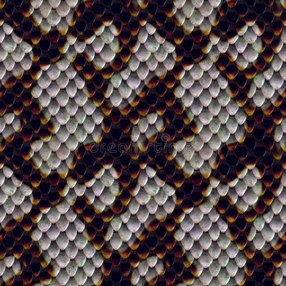 Boa Snake Skin Pattern Texture Stock Illustrations – 719 Boa Snake Skin ...