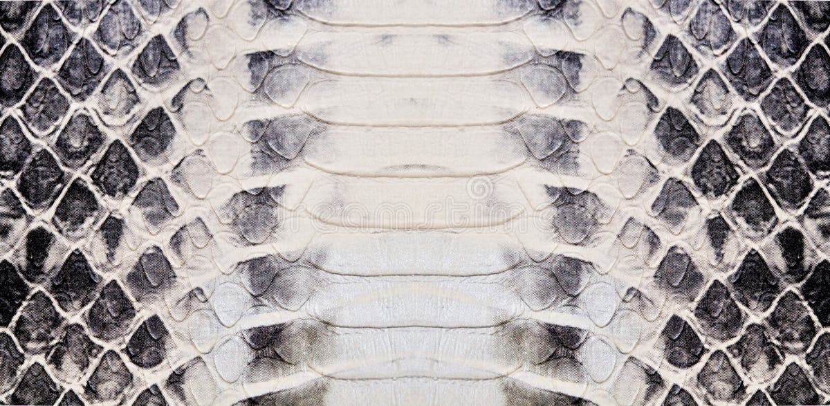 2,900 Venom Texture Stock Photos - Free & Royalty-Free Stock Photos ...