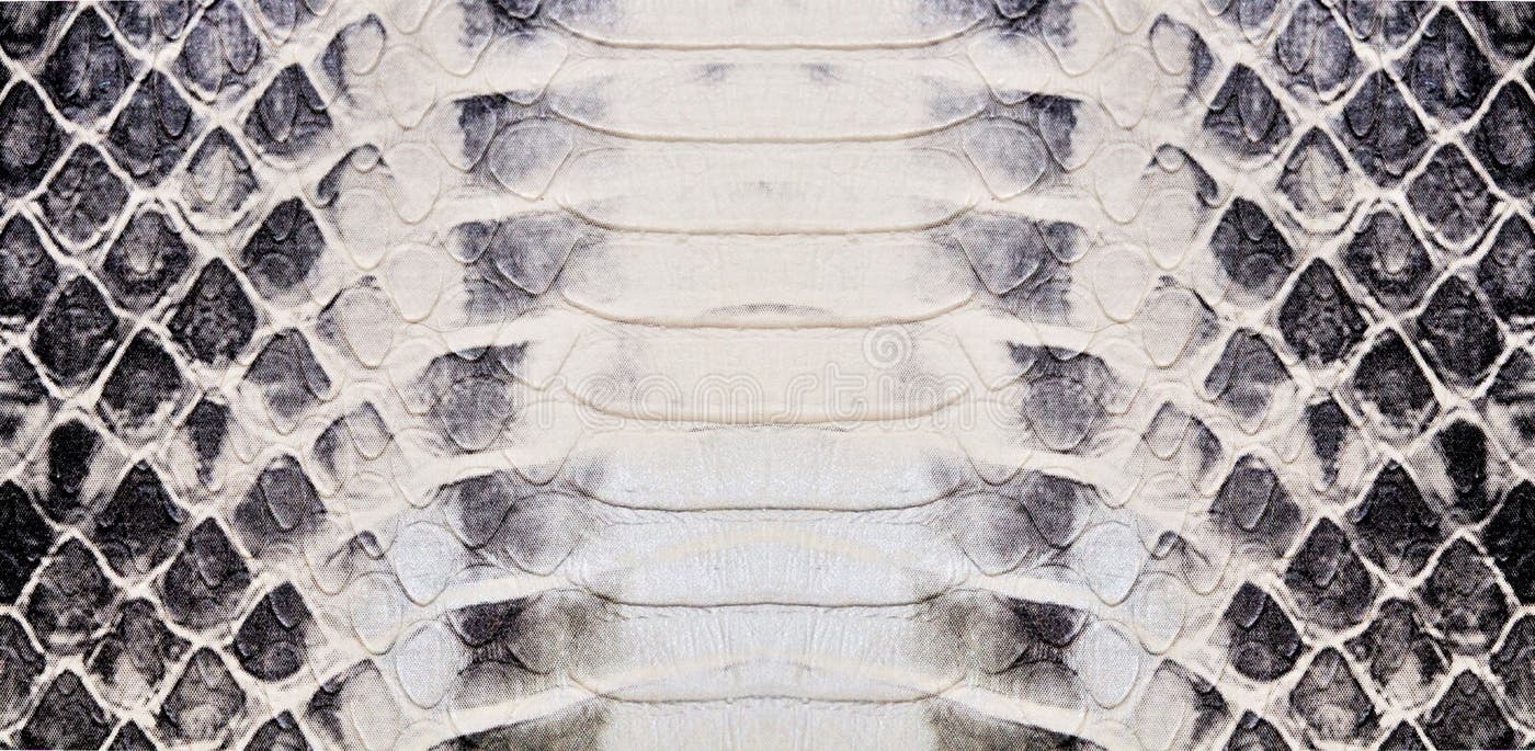 2,900 Venom Texture Stock Photos - Free & Royalty-Free Stock Photos ...