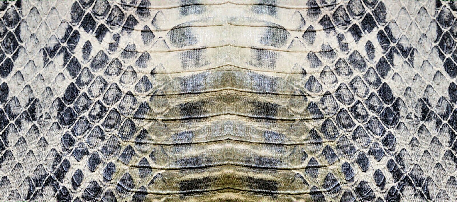 Snake skin texture stock image. Image of leather, artificial - 22160237