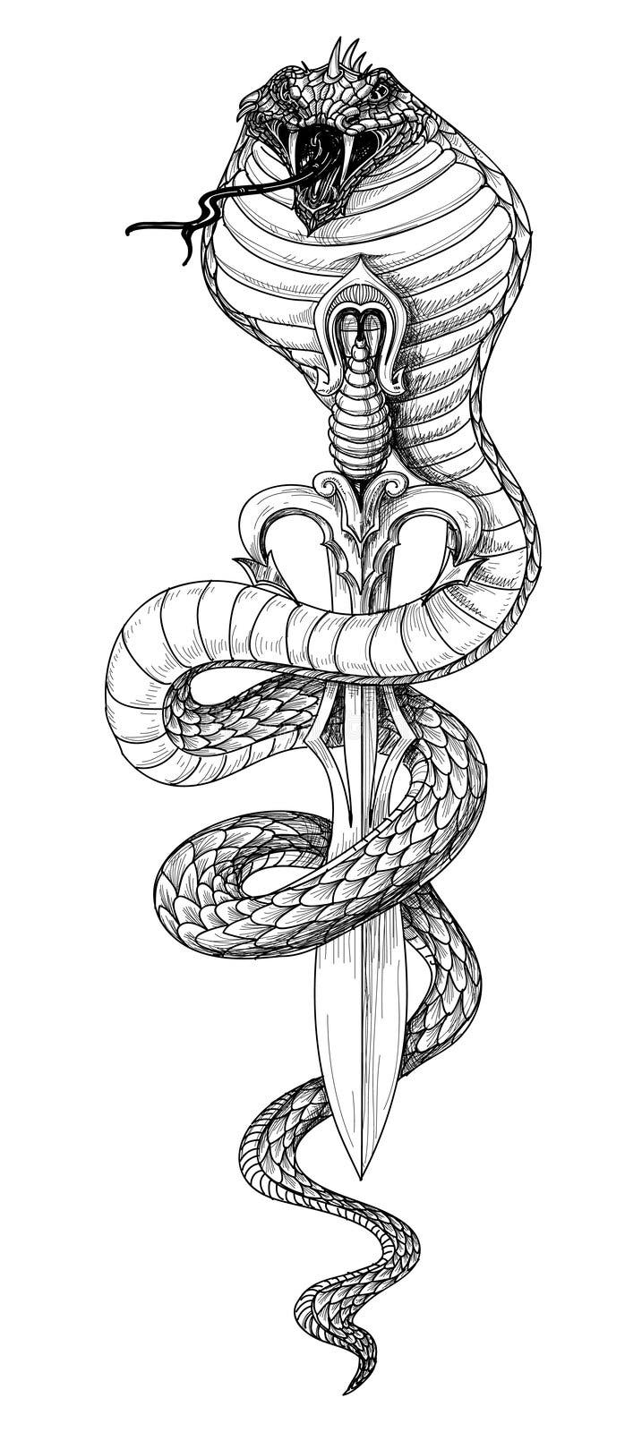 Detailed Snake Drawing Stock Illustrations – 3,259 Detailed Snake ...