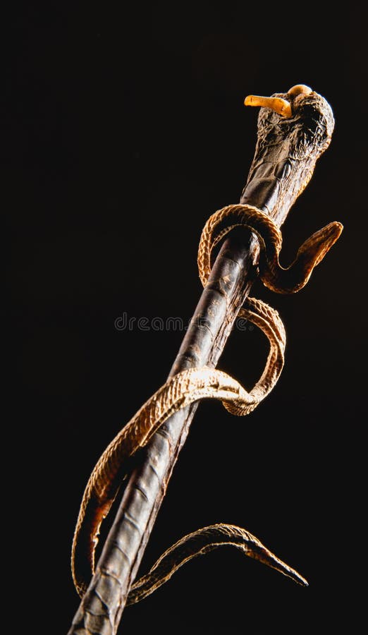 Snake on sword and wood stock photo. Image of insolated - 254520198