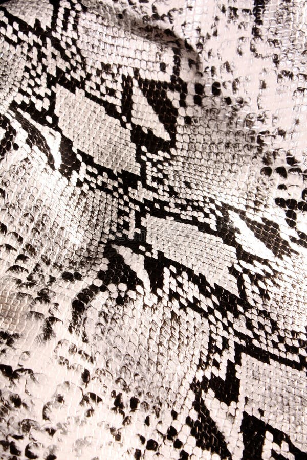 11,302 Snake Skin Texture Photos - Free & Royalty-Free Stock Photos ...