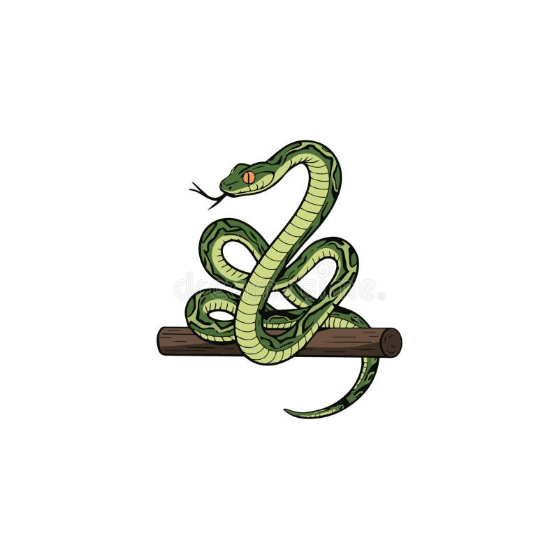 Snake on Tree Branch Cartoon Illustration, Snake Art Design Stock ...