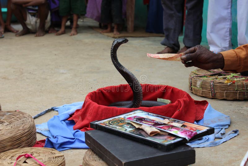 Snake trick editorial photo. Image of selling, kala, india - 96068396