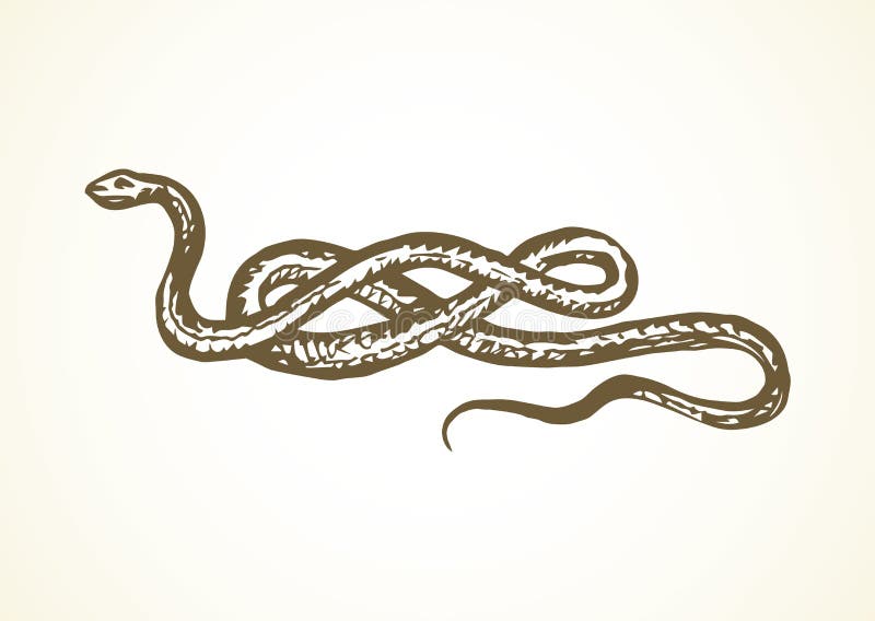 Curved Slither Snake Seamless Pattern Vector Stock Vector ... Curved Slither Snake Seamless Pattern Vector Stock Vector ...