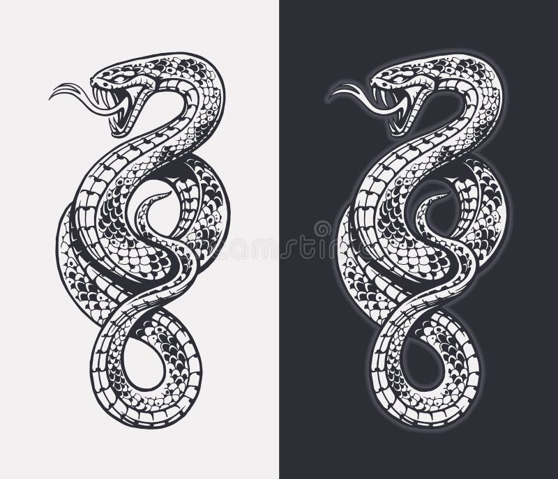 Snake Engraving Stock Illustrations – 1,226 Snake Engraving Stock ...
