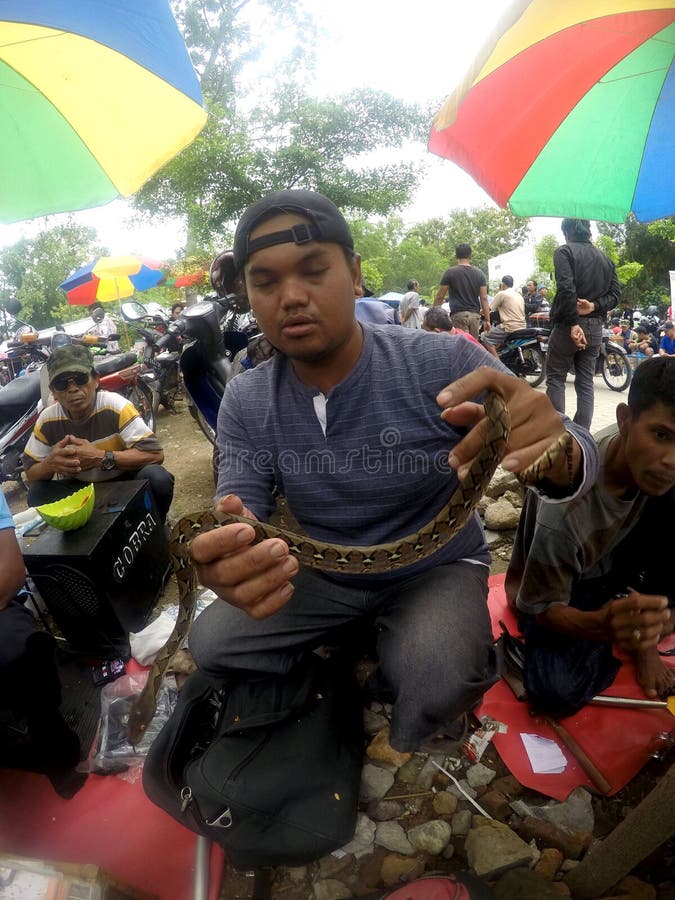 Snake editorial photography. Image of central, city, vendors - 47547062