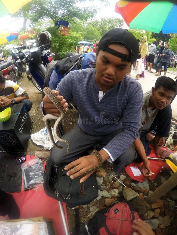 Snake editorial photo. Image of recreation, market, vendors - 47547091