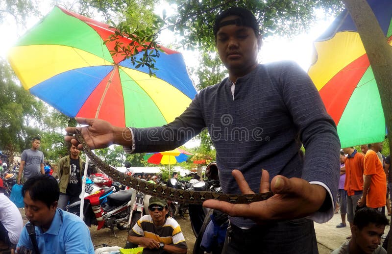 Snake editorial photo. Image of umbrella, crowd, vendors - 47547401