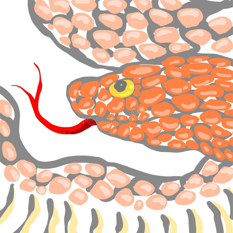 Snake Viper Drawing Doodle Art Vector for Decoration Stock Vector ...