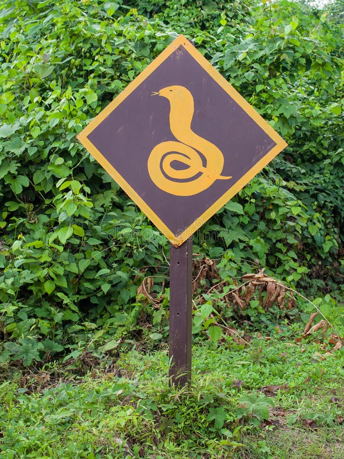 Snake Warning Sign At A Park Stock Photo - Image of nature, park: 121110440