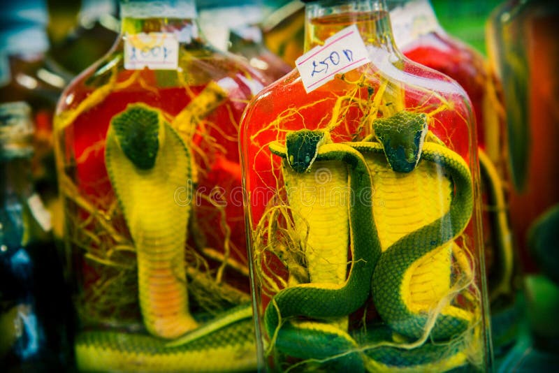Snake Whiskey stock photo. Image of asia, decoration - 87618816