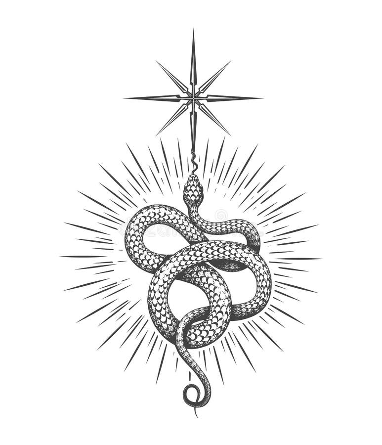 Snake of Wisdom Esoteric Tattoo Isolated on White Stock Vector ...