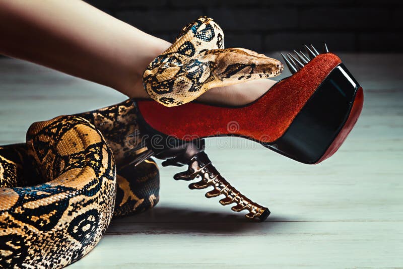 The Snake on the Woman S Leg Stock Photo - Image of heel, shiny: 63172404