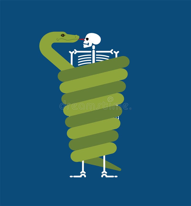Snake Wrapped Around Skeleton. Vector Illustration Stock Vector ...