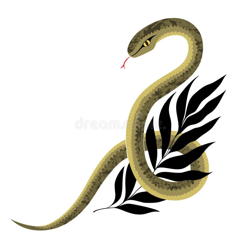 Snake Wraps Around Leaf. Beautiful Graphic Illustration Stock Vector ...