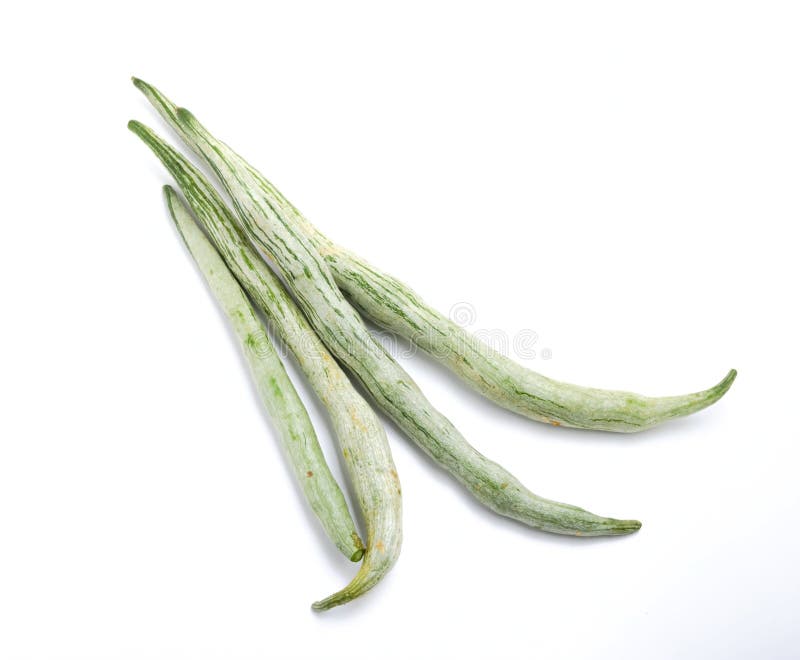 145 Zucchini Snake Stock Photos - Free & Royalty-Free Stock Photos from ...