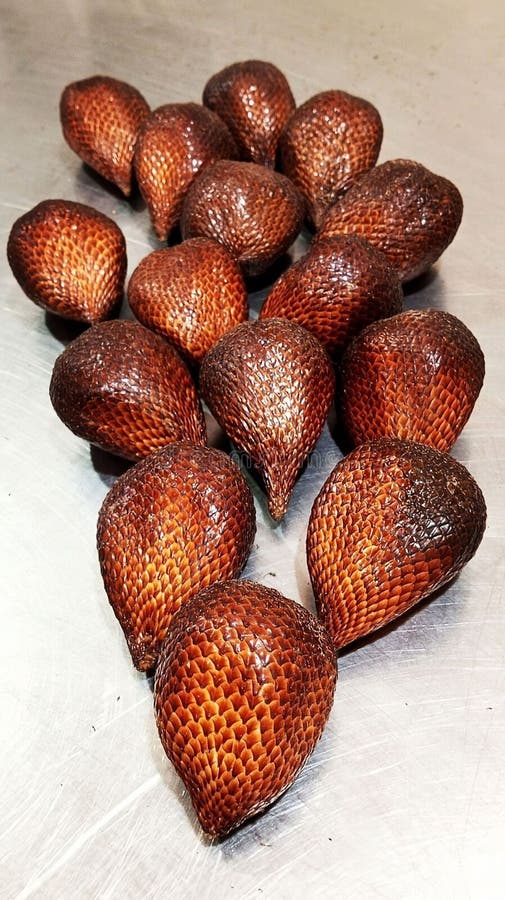 Snakefruit Dragon Fruit the Zalacca Palm and Its Fruit Stock Image ...