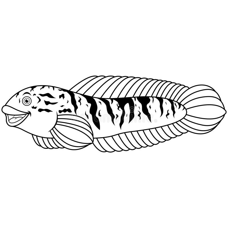 Snakehead Fish Line Drawing Stock Illustrations – 9 Snakehead Fish Line ...