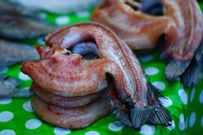 Snakehead fish,Dried fish. stock photo. Image of channa - 92856472