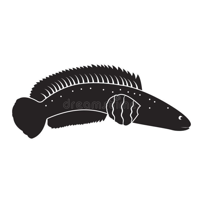 Snakehead Fishing Stock Illustrations – 108 Snakehead Fishing Stock ...