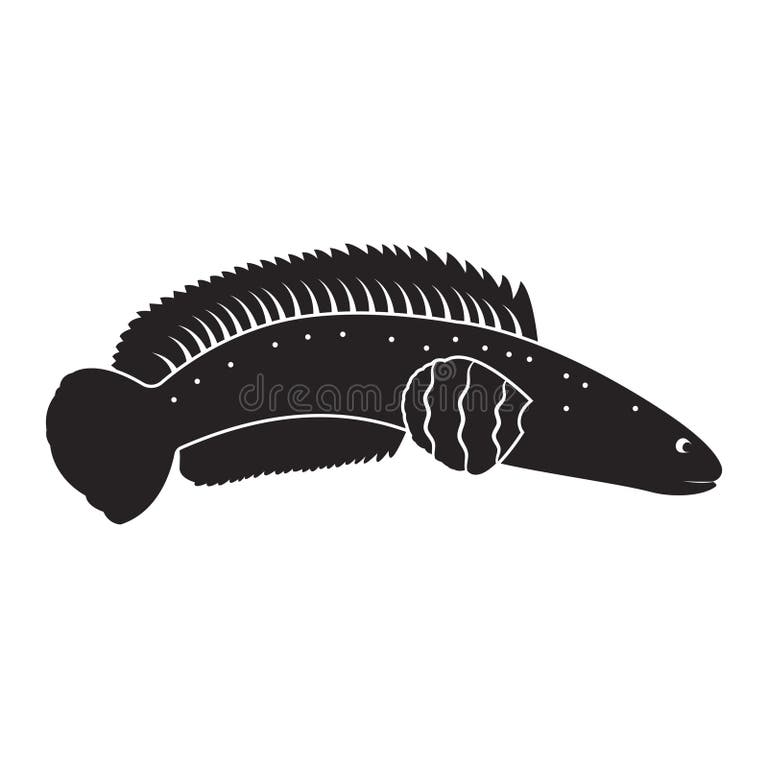 Snakehead Fish icon stock vector. Illustration of isolated - 282317247