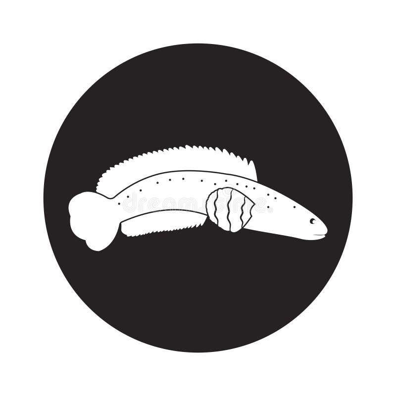 Snakehead Fishing Stock Illustrations – 108 Snakehead Fishing Stock ...