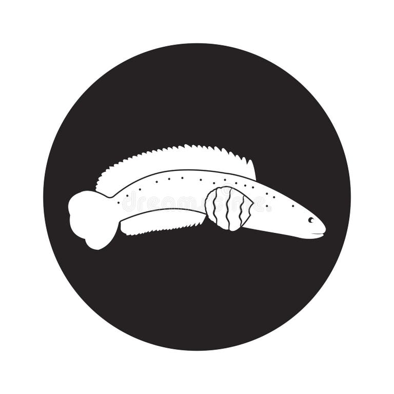 Snakehead Fish icon stock vector. Illustration of vintage - 282317258