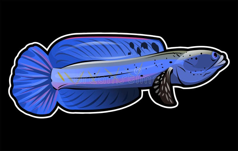 Snakehead Vector Stock Illustrations – 145 Snakehead Vector Stock ...