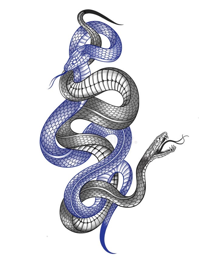 Snakes Black and Blue Tattoo Design Stock Illustration - Illustration ...