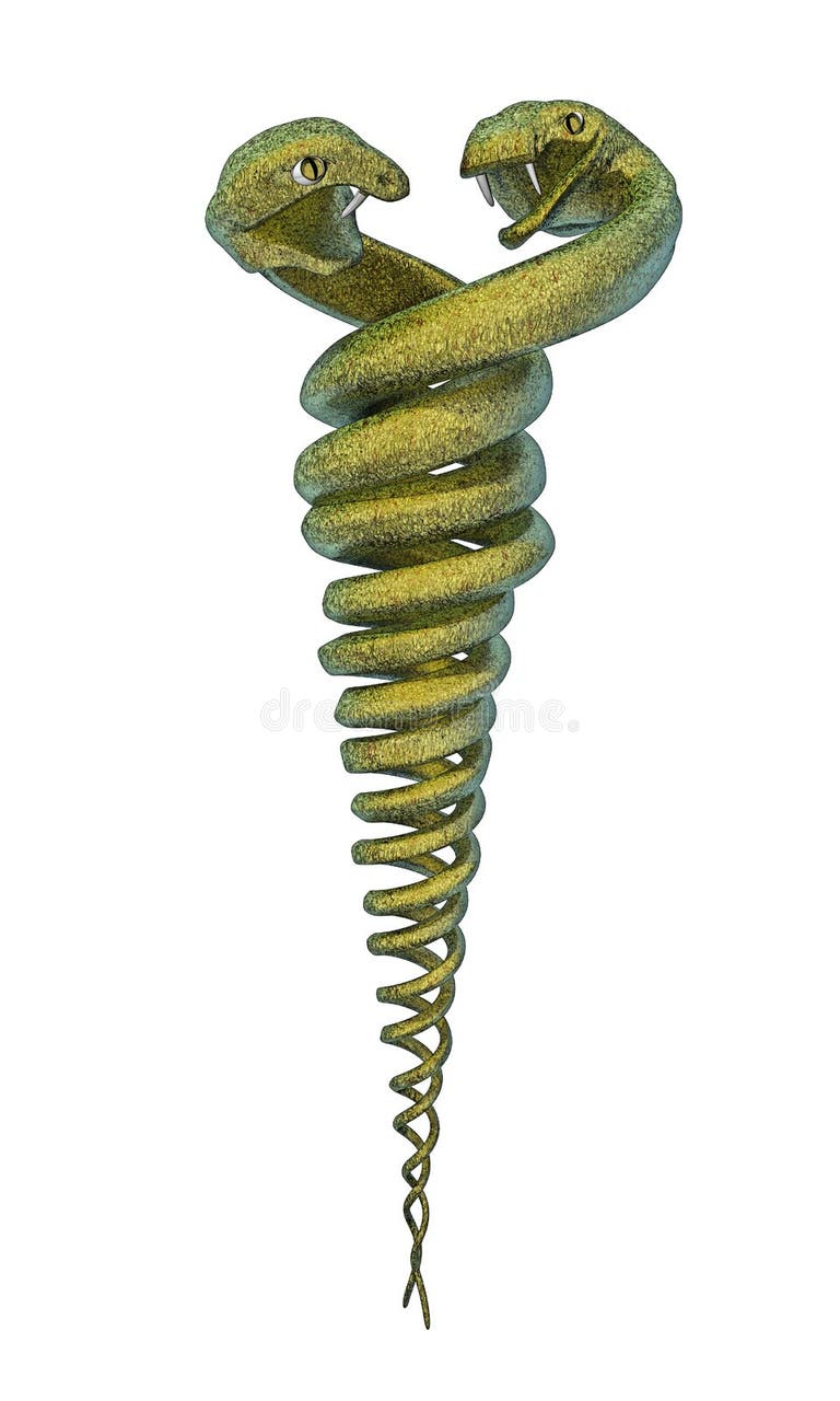 Snakes Coil Stock Illustrations – 107 Snakes Coil Stock Illustrations ...