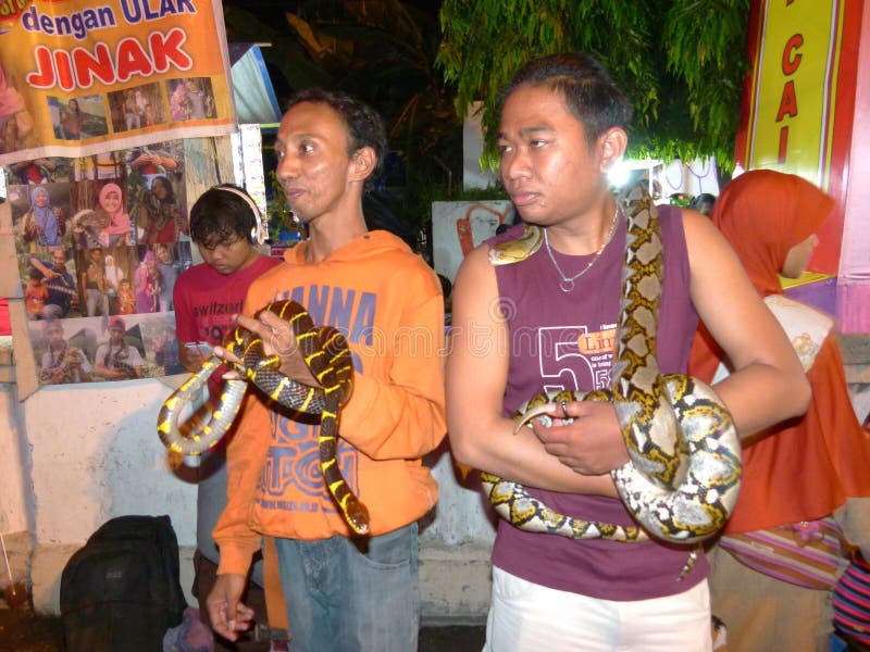 Snakes editorial stock photo. Image of crowd, java, solo - 66122488