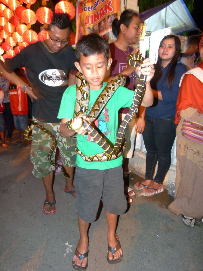 Snakes editorial image. Image of event, festival, city - 66122745