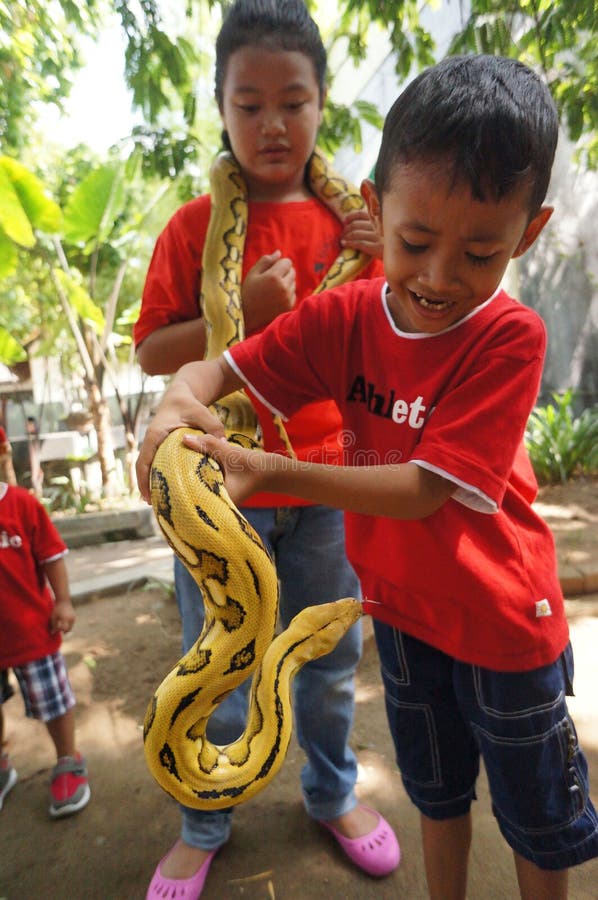 Snakes editorial photography. Image of central, residents - 62783922