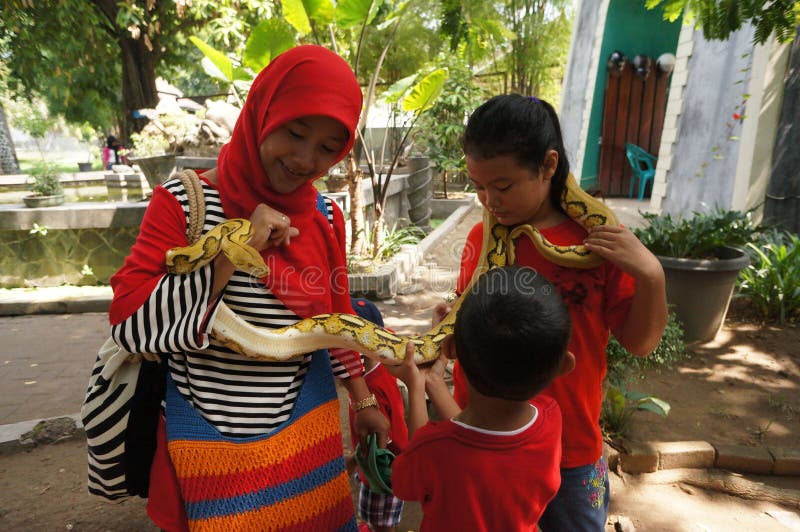 Snakes editorial photo. Image of central, city, indonesia - 62784111