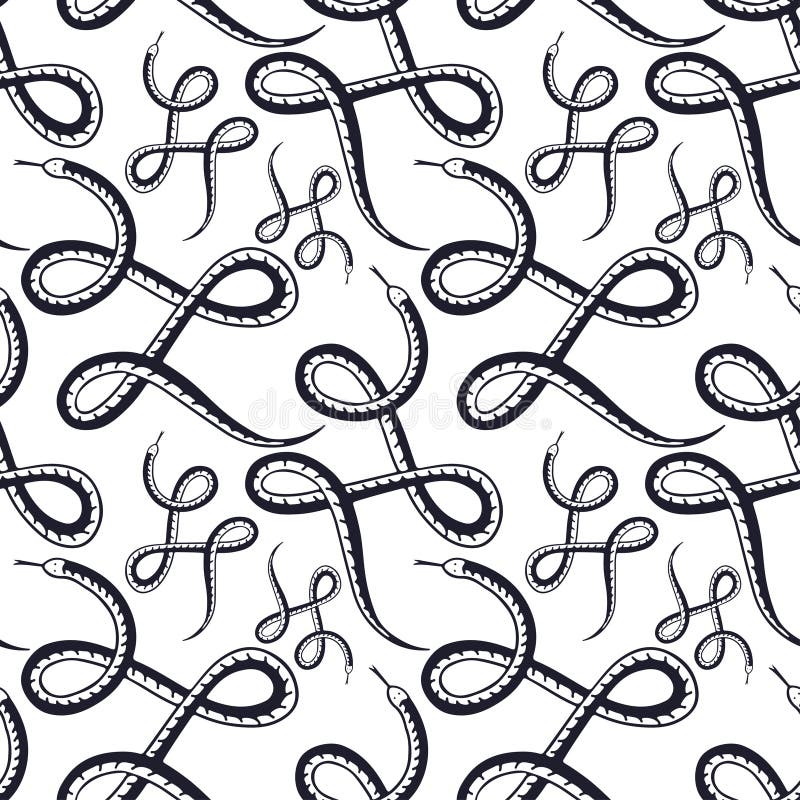 Snakes Seamless Vector Pattern. Pattern in Black and White Colors Stock ...