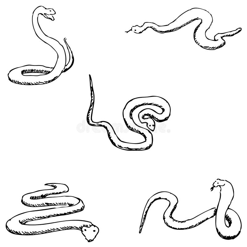Snakes. a sketch by hand stock vector. Illustration of artistic - 82844003