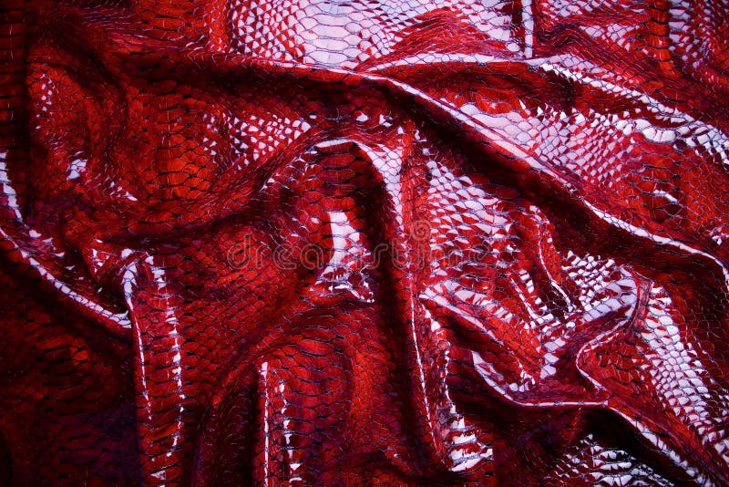 Red snake skin. stock photo. Image of pattern, close - 11868284