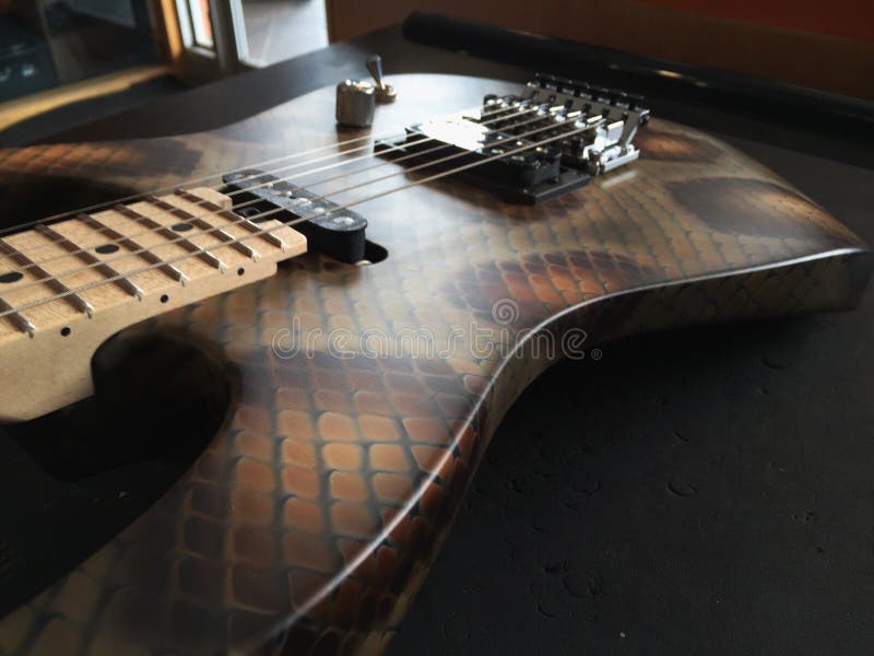 Snakeskin guitar stock photo. Image of solid, graphic - 96878080