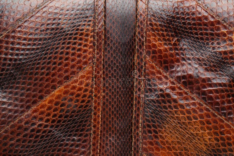 Snakeskin Leather and Texture Background. Skin Pattern Background Stock ...