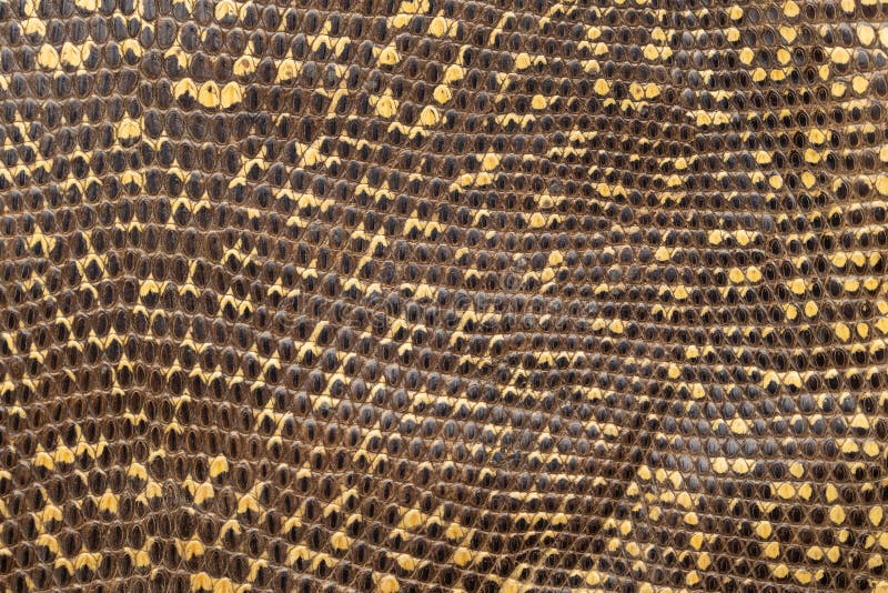 Snakeskin Leather and Texture Background. Skin Pattern Background Stock ...