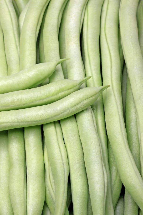 Snap Bean stock image. Image of fresh, food, nature, candied - 10507667