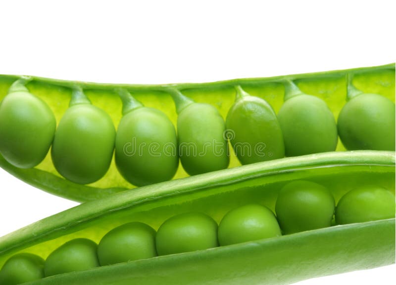 Snap Peas stock photo. Image of macro, fruit, eating, sugar - 6272744