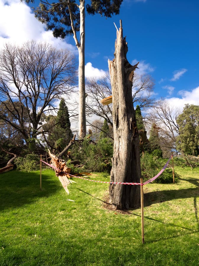 Snap to it stock photo. Image of hurricane, windy, weather - 32950128